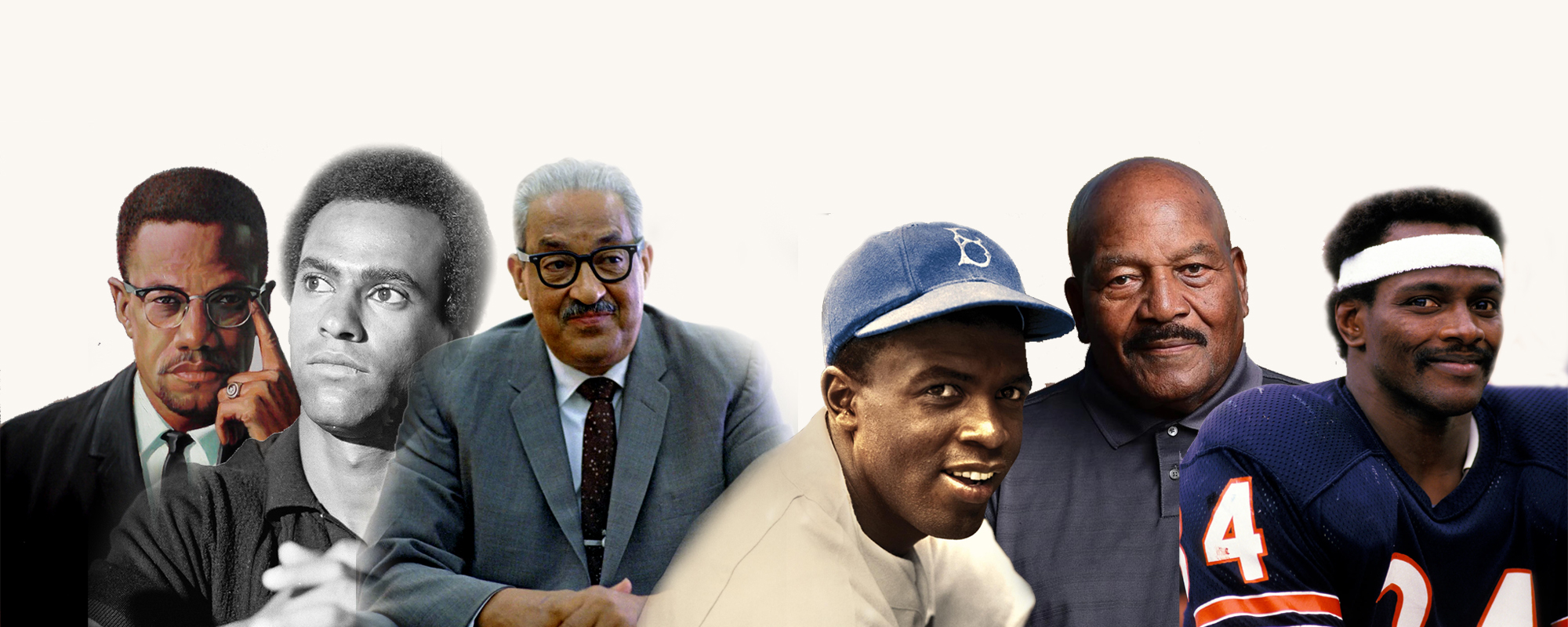 Root Force – Publications